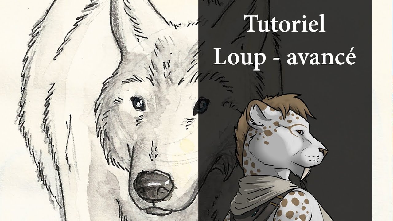 [Tutorial] Loup - Avancé( Pelage) - YouTube