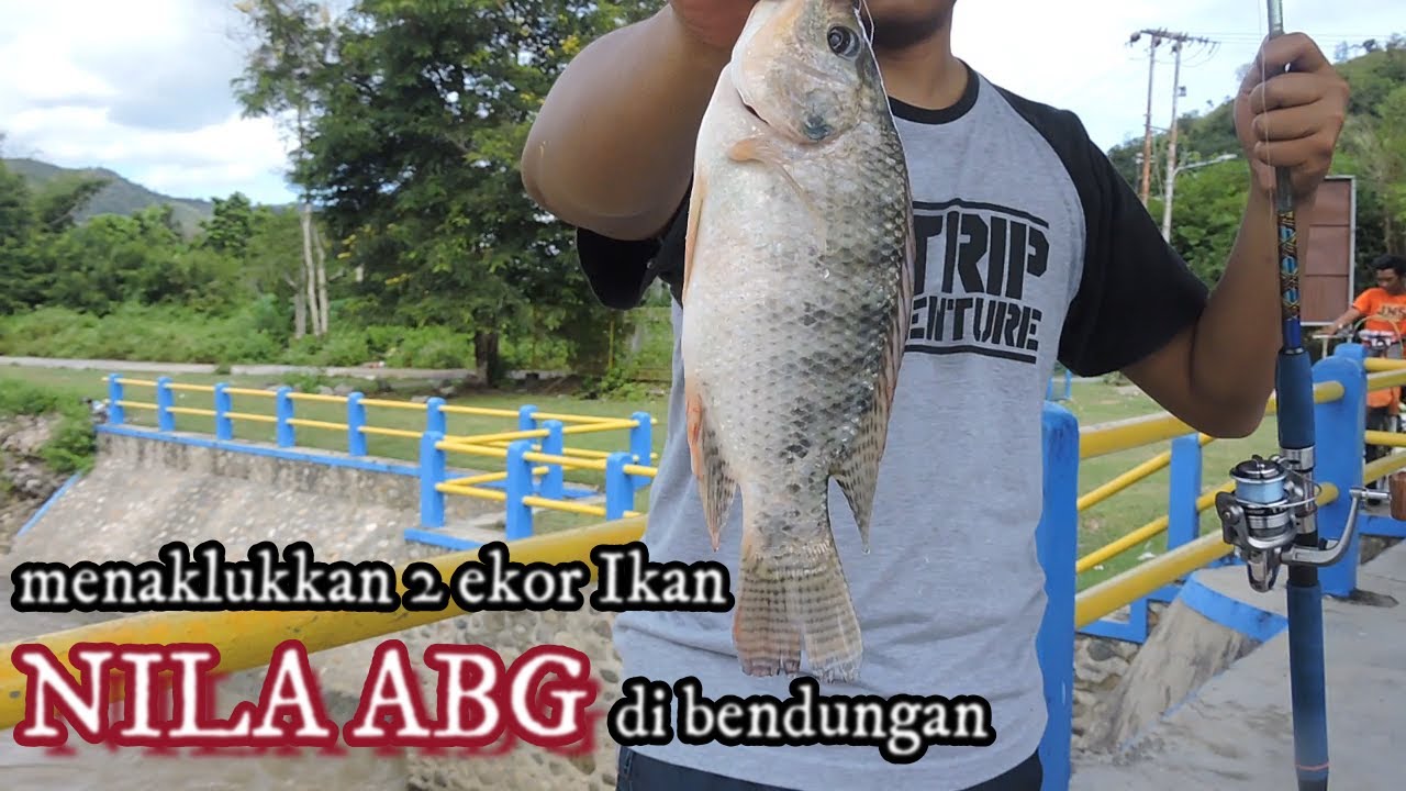 Mancing ikan NILA di bendungan yang banjir - YouTube