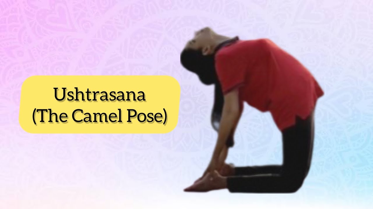 How to do Ushtrasana(The Camel Pose) - YouTube