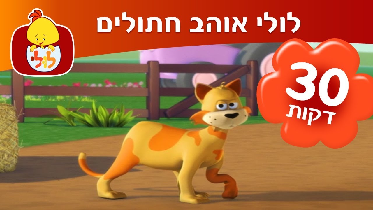 לולי אוהב חתולים - מושגים ראשונים - ערוץ לולי - YouTube