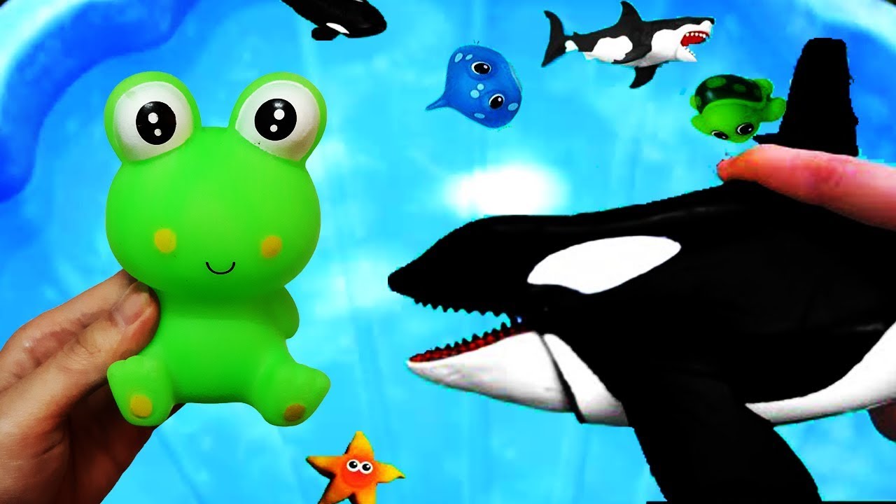 Learn Colors With Sea Wild Animals and Animal Names | Pool Water Colors ...