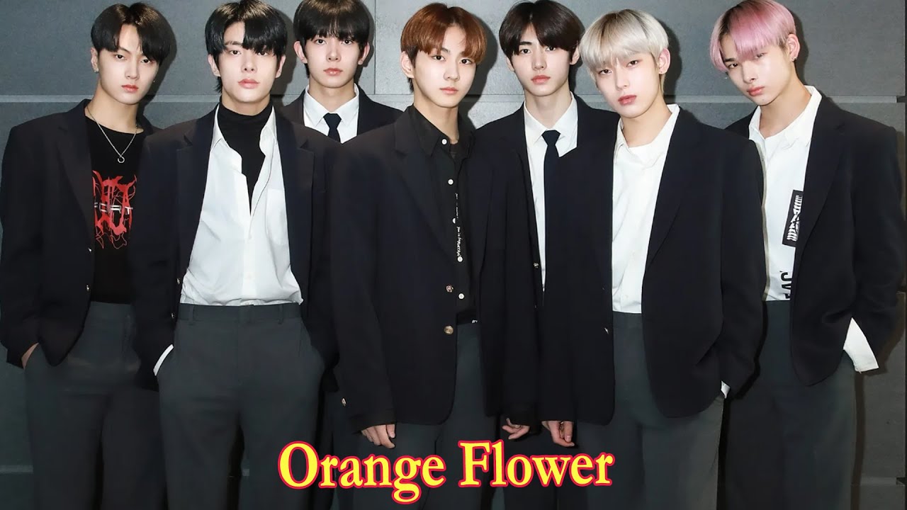 ENHYPEN (엔하이픈) – Orange Flower (You Complete Me) Lyrics - YouTube