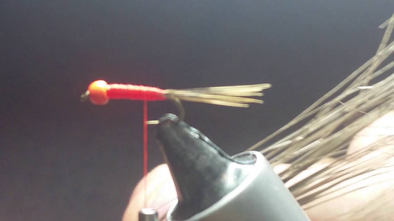 Hot Head Quill fly pattern - YouTube