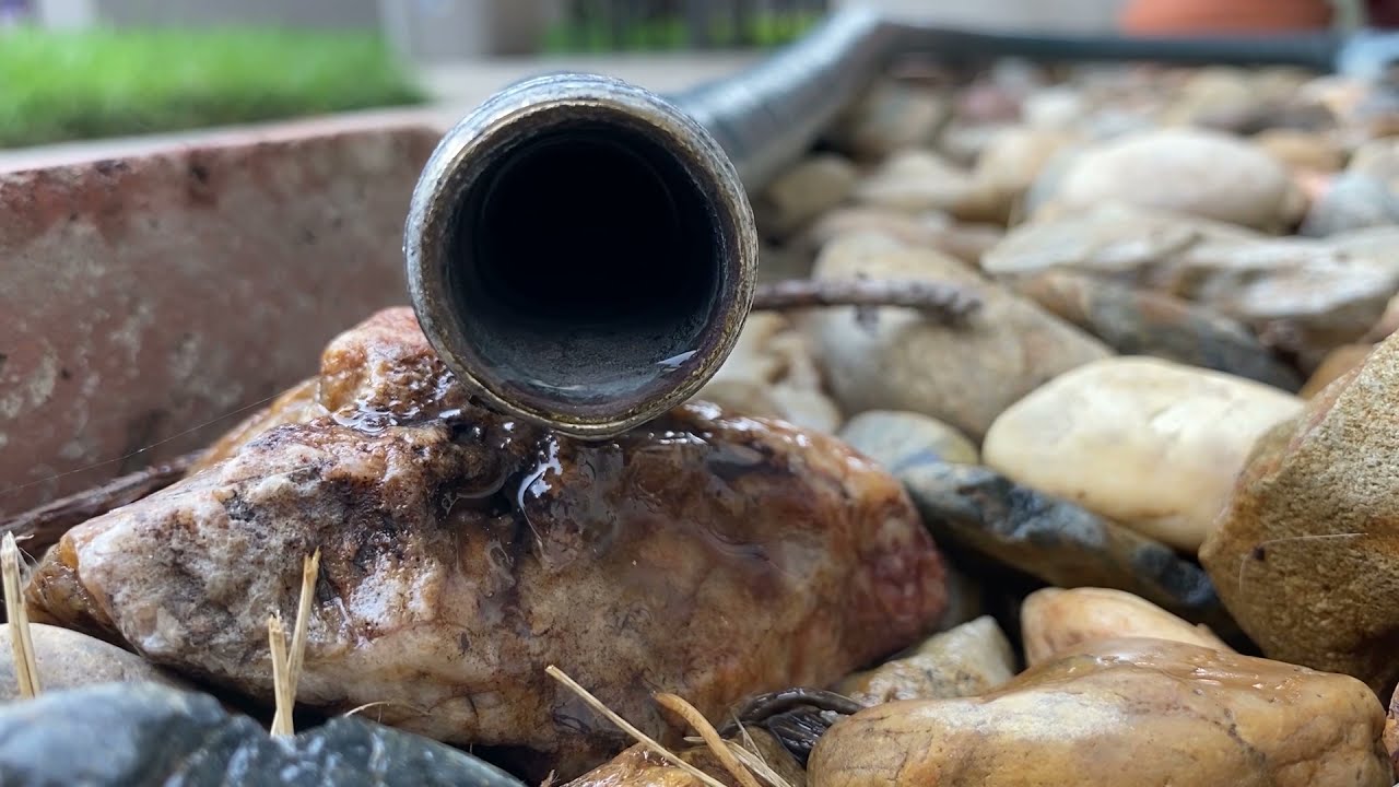 Seasonal Outdoor Cockroach Management Tips - YouTube