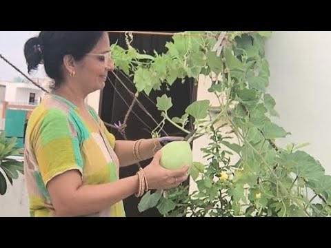 Meri mehnat ka fal...🥰🥰 - YouTube