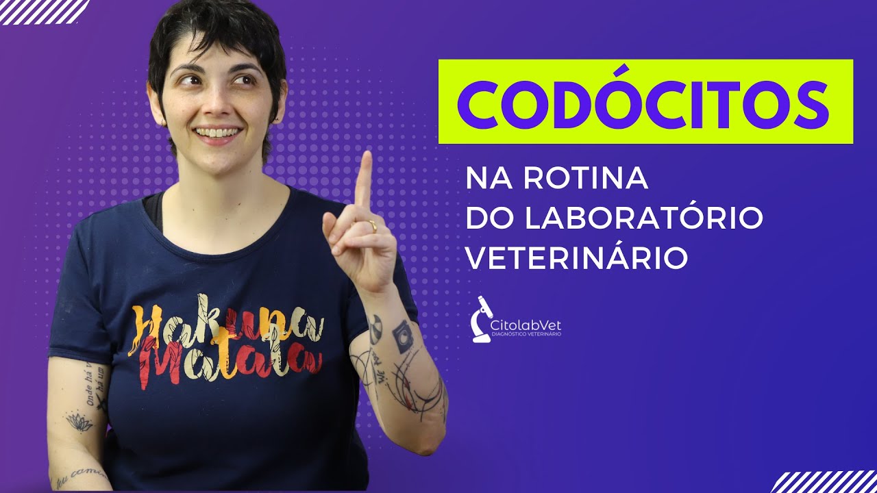 Codócitos na rotina do laboratório veterinário - YouTube