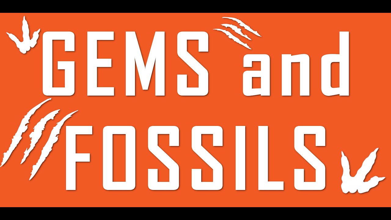 Learn about your finds from our Gems & Fossil Daily Dig! - YouTube