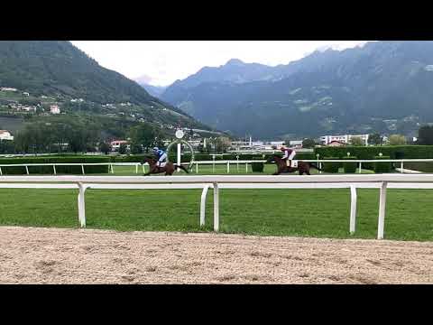 Ippodromo di Merano: Premio E.B.F. TERME DI MERANO 15.08.2020 - YouTube