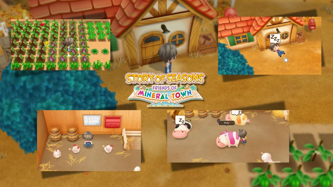 Weekly Bertani | Story of Seasons Friend of Mineral Town (SoS FoMT) #14 ...
