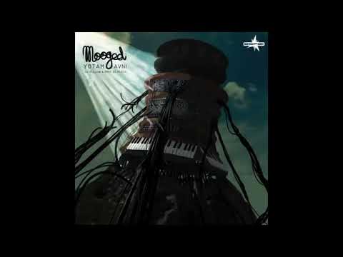 Yotam Avni - Mooged - YouTube