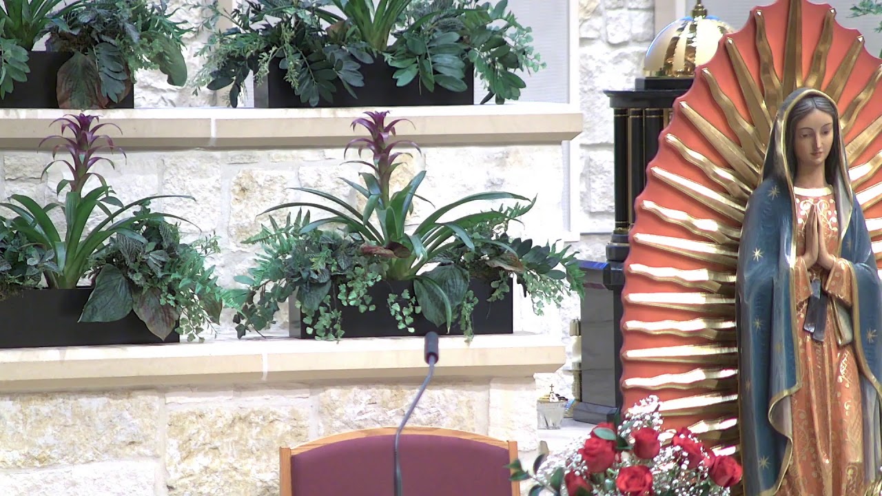 The Silver Rose Mass, Aug 25th 2020 7PM, Celebrated by Fr. Jan Klak ...