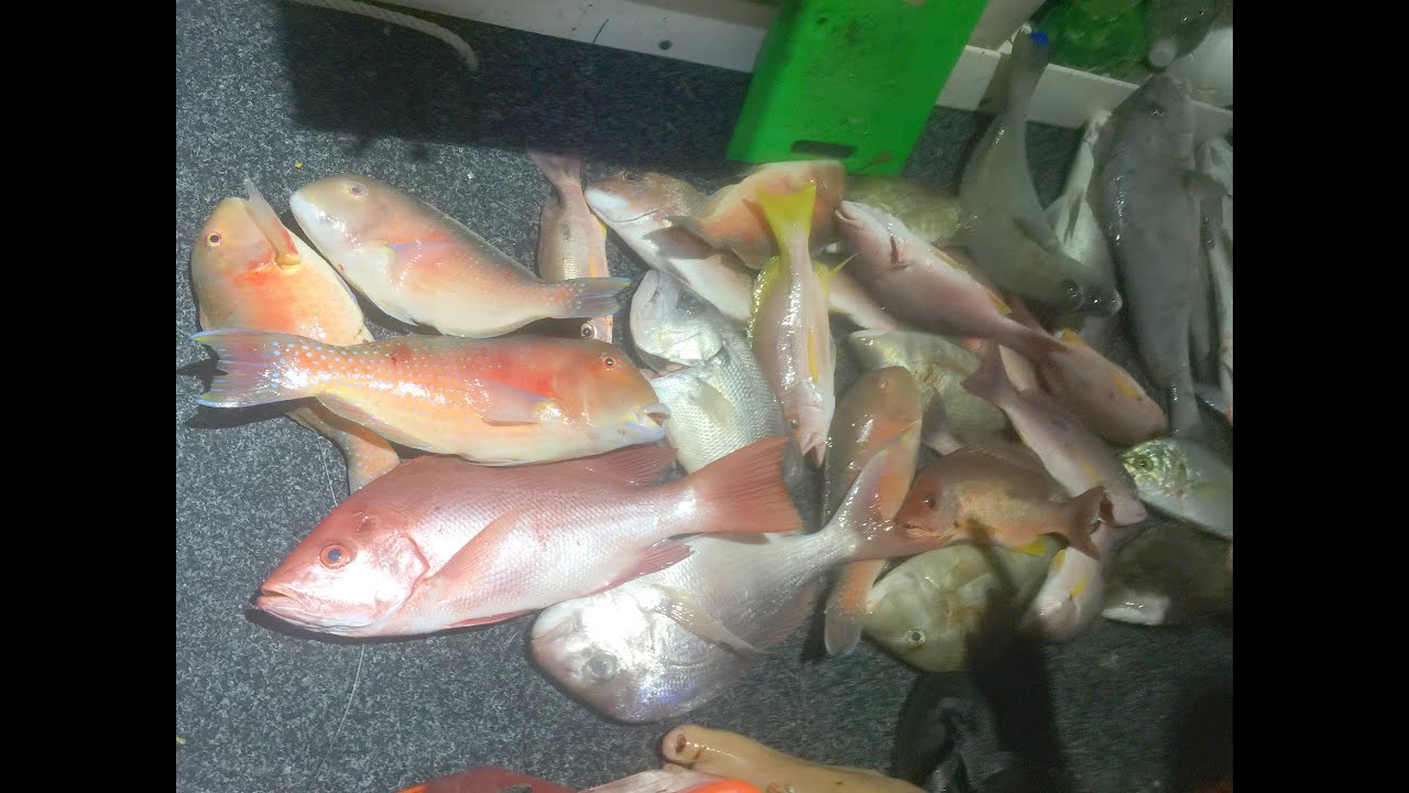 Fishing Sunshine Coast inshore reefs Wayne and Joe late June 2016 - YouTube