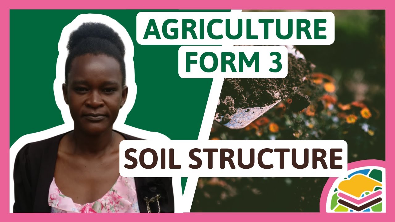 Soil Structure | F3 Agriculture - YouTube