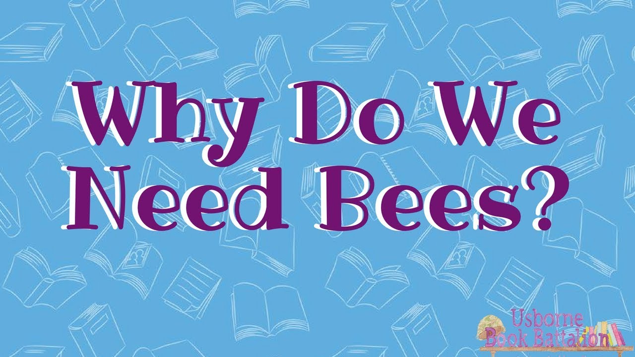Usborne Why Do We Need Bees? - YouTube