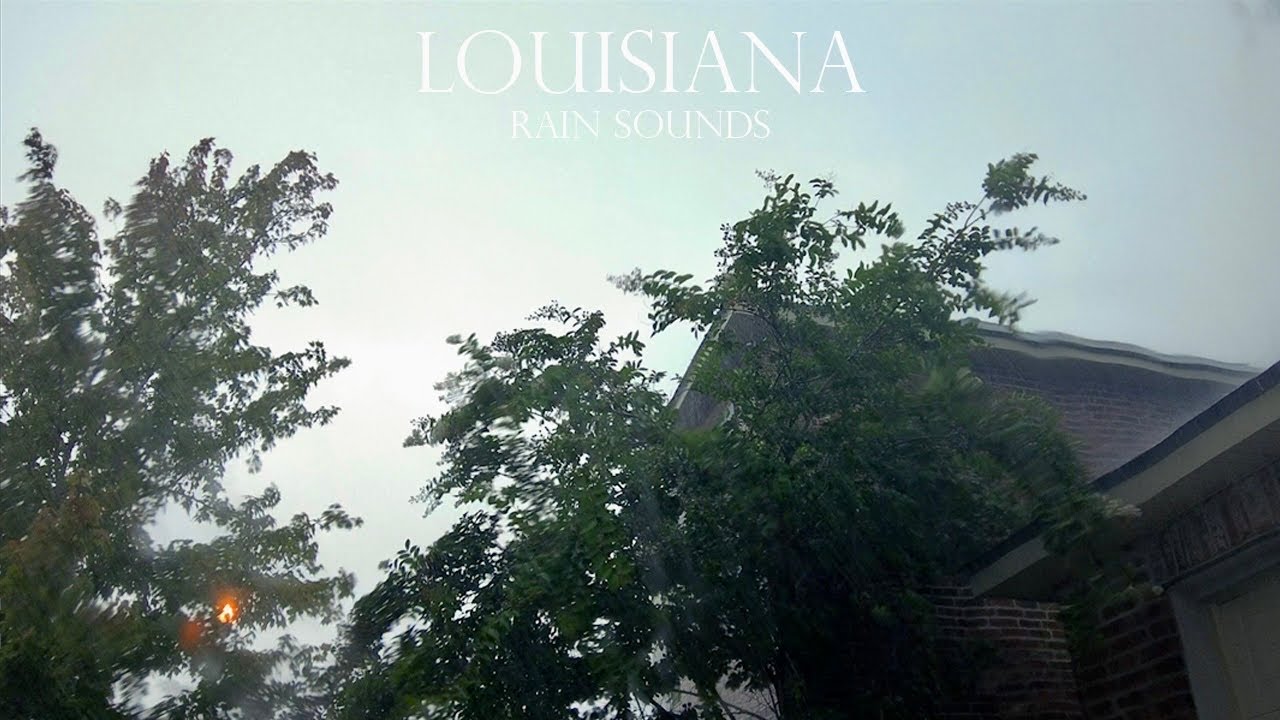Real Rain Sounds | Heavy Thunderstorm Slows to Drizzle | Study Sleep ...