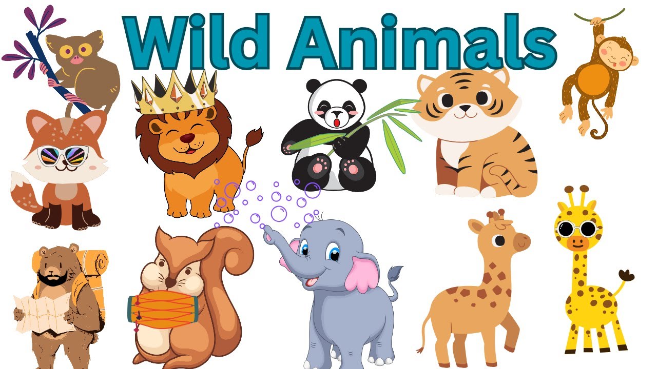 Wild Animals||Wild Animals Name In English | Wild Animals Name For Kids ...