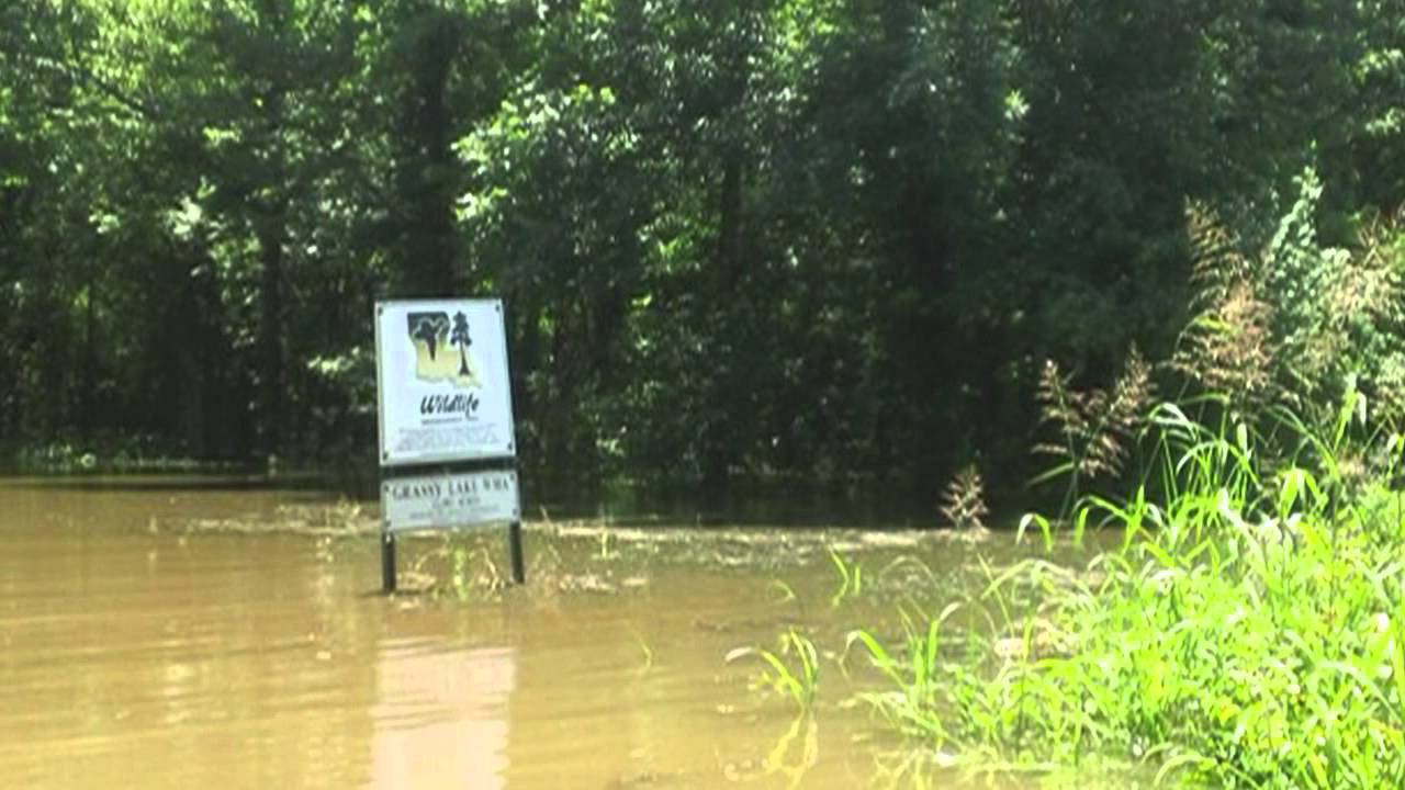 2011 Flood-Bayou Bucks - YouTube