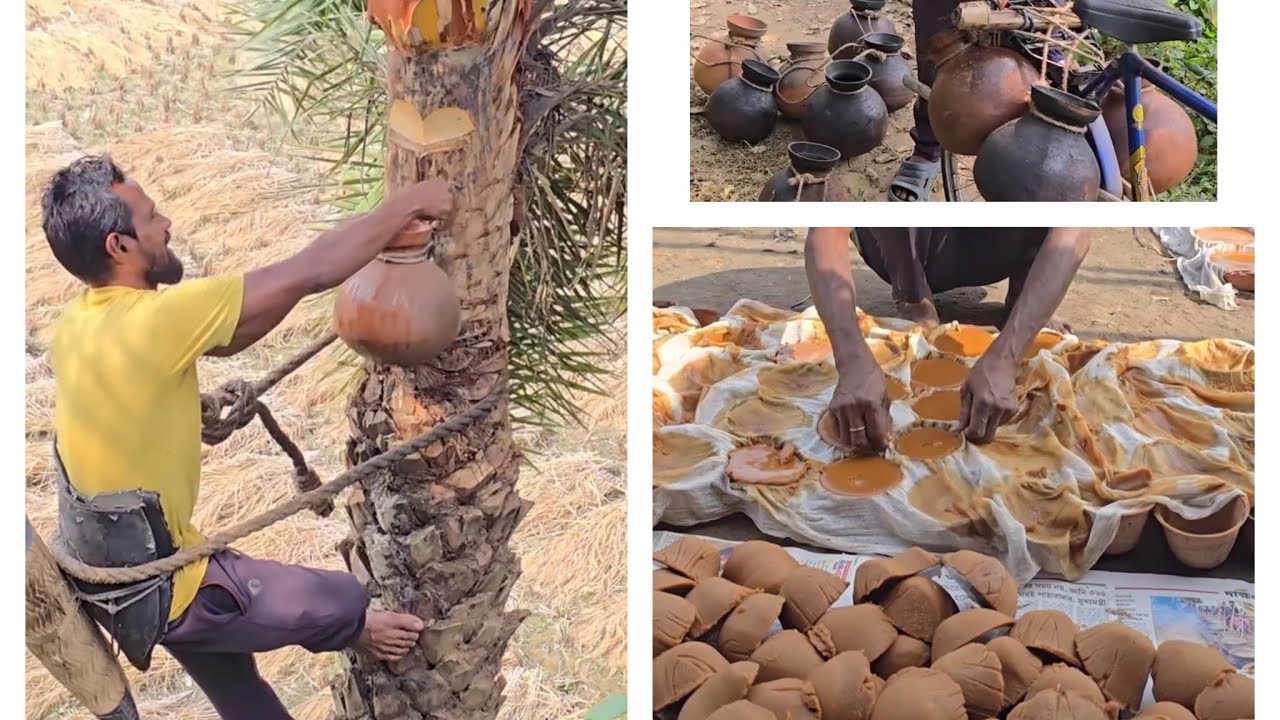Traditional Molasses Making Process Using Date Plum Juice | Street Food ...