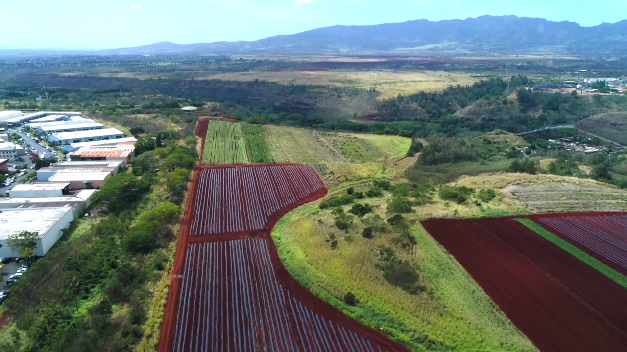Koa Ridge - Central Oahu New Development - YouTube