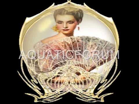 ♫♥ALİŞAN-KORKUYORUM♫AQUATICFORUM♥G♫