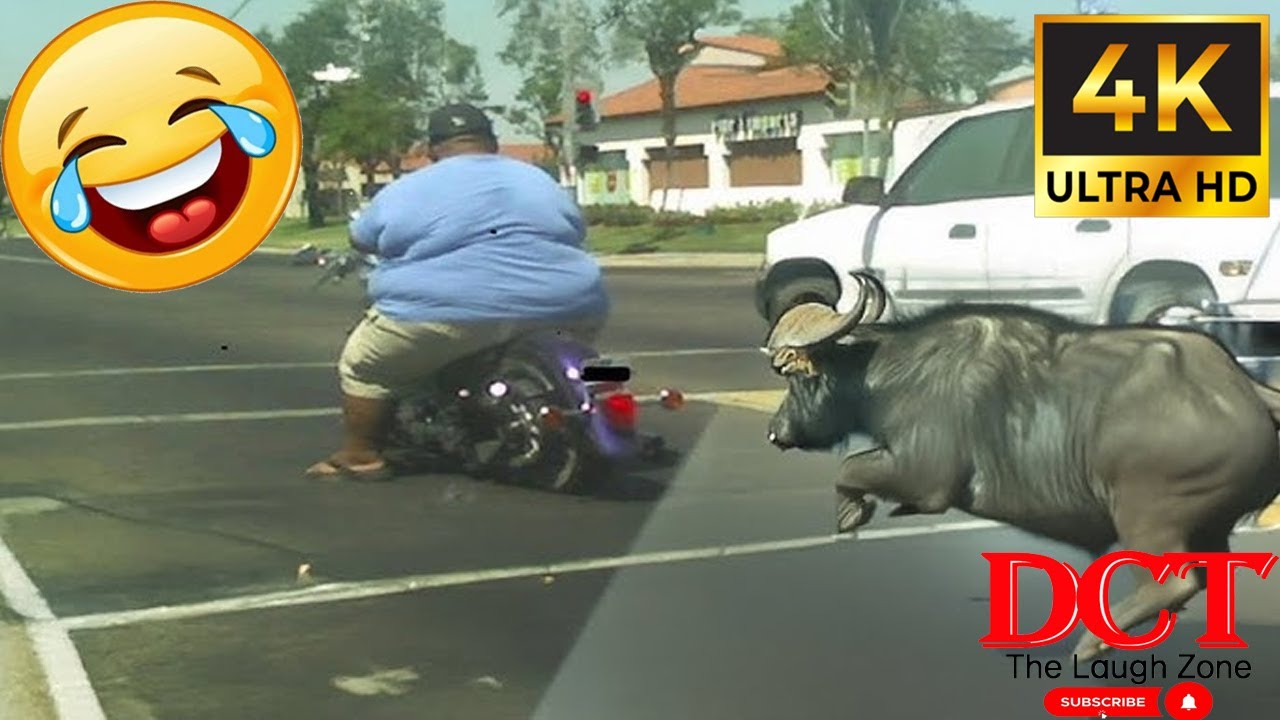 Funny & Hilarious People's Life 😂 #7 | Instant Regret Fails 2025 - Try ...