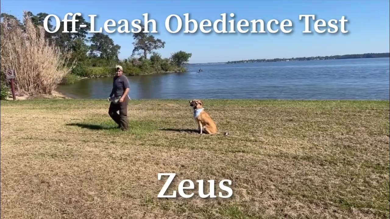 Zeus Final Test - YouTube