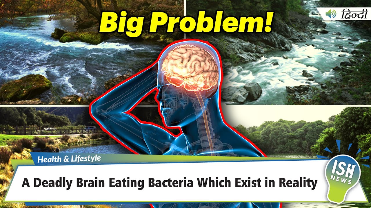 A Deadly Brain Eating Bacteria Which Exist in Reality | ISH News - YouTube