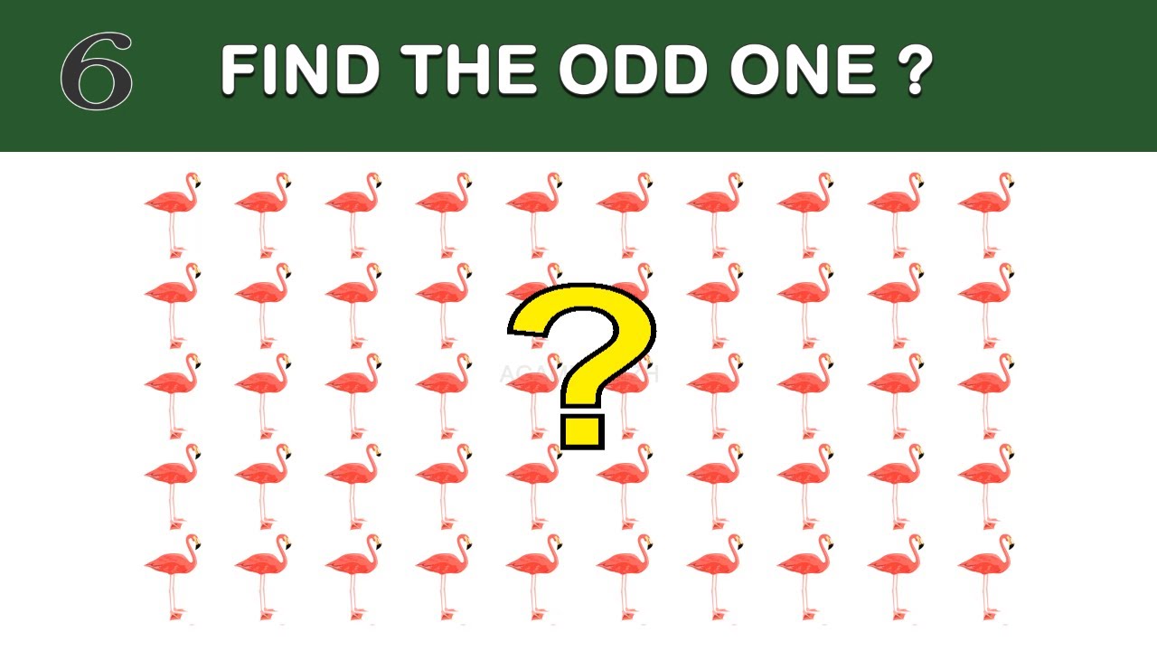 Find The ODD ONE | Brainteasers | Visual Test | Brain Quiz - YouTube