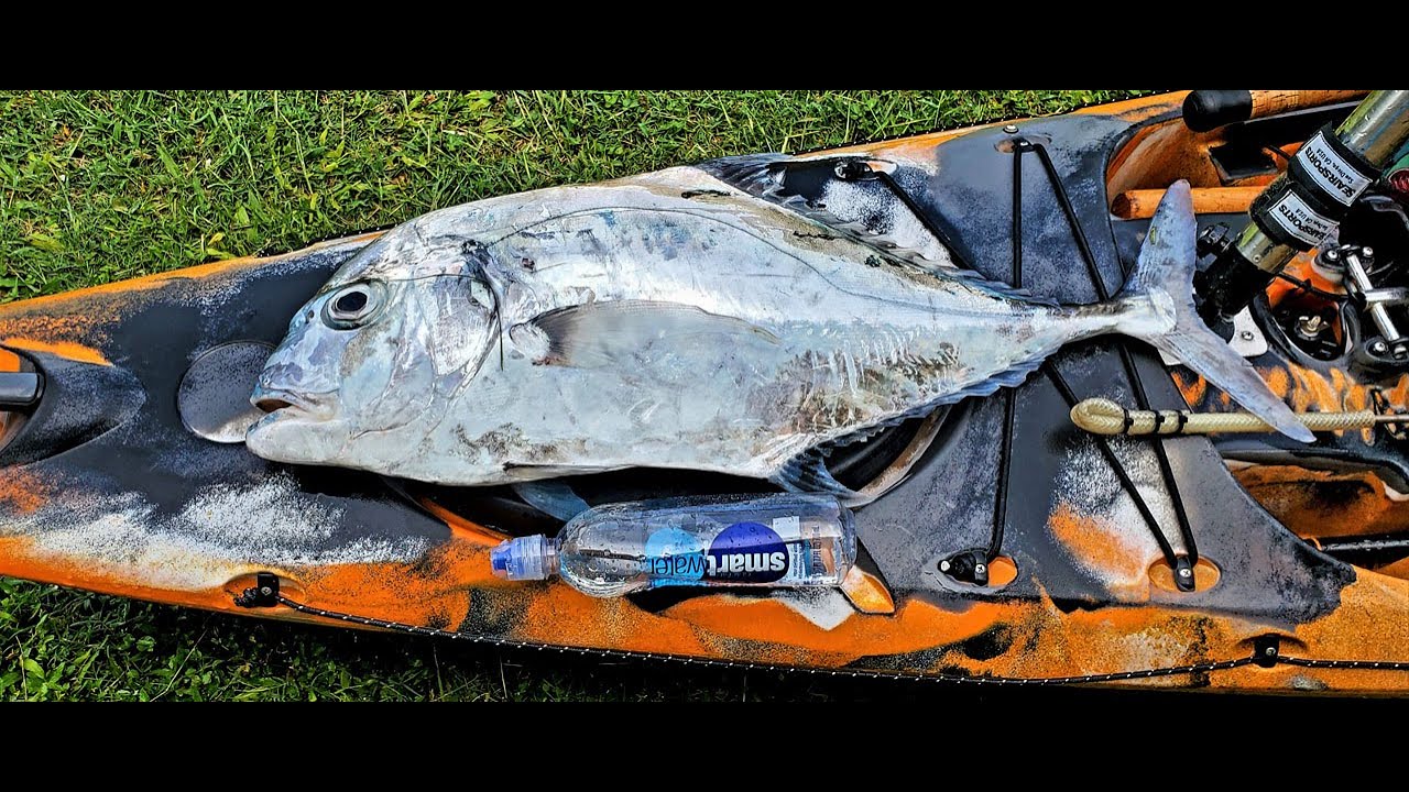 Beautiful and rare Oahu kagami ulua - YouTube