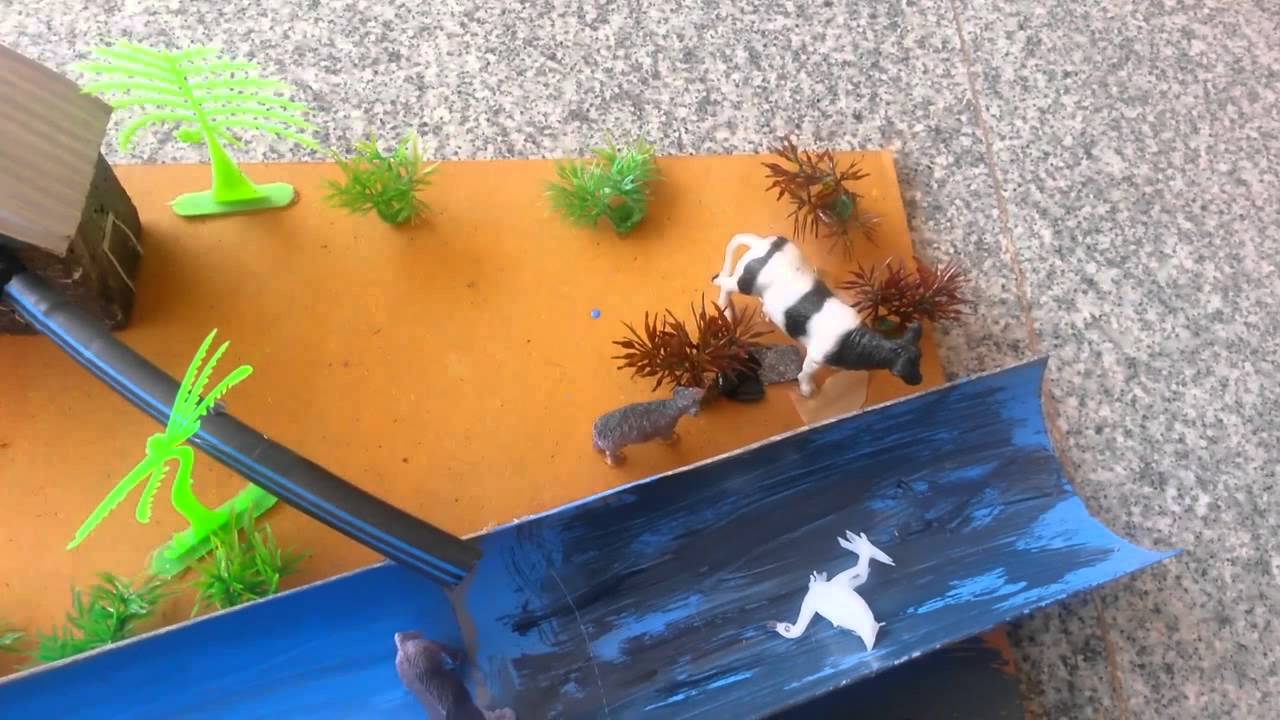 Water Pollution - Working demo model - YouTube