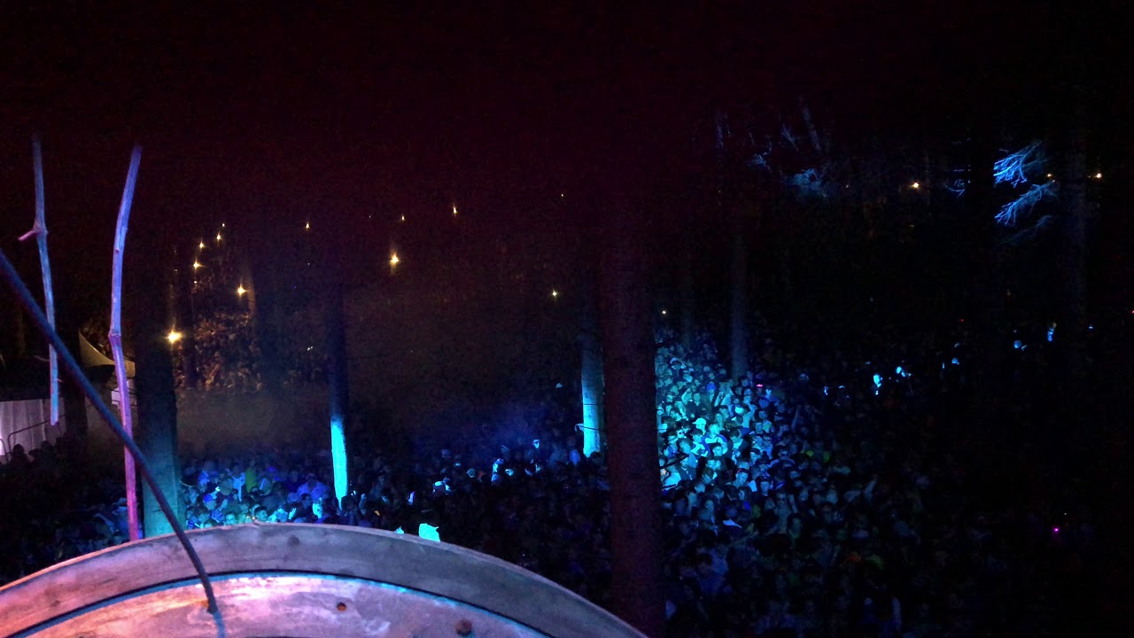 Hybrasil LIVE @ Electric Picnic - Rave in the Woods (Anubis) - YouTube