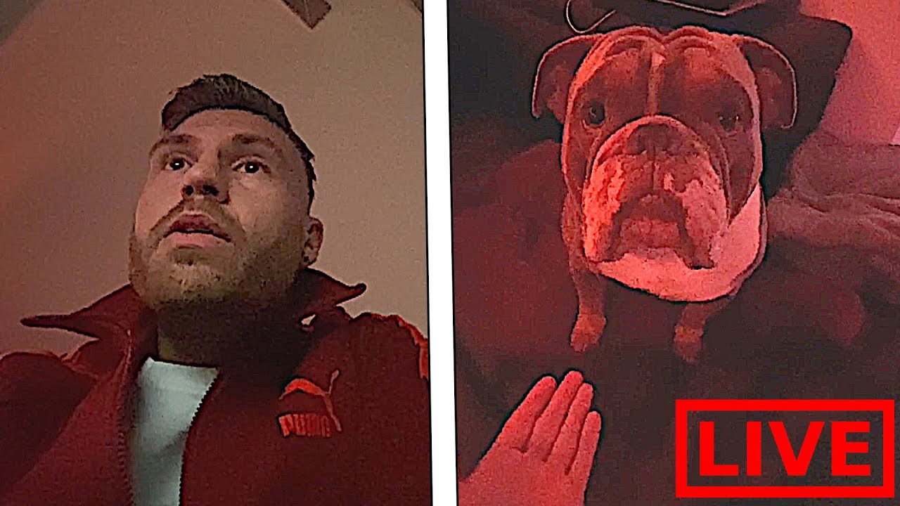 APOLLO LIVE im STREAM mit dabei 😱 SImon IRL STREAM 🔥 Tisi Schubech ...