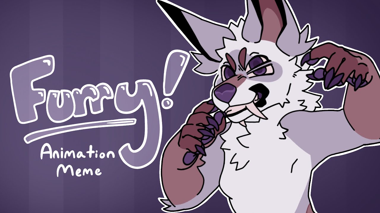 Furry || Animation Meme || BDay Special!! - YouTube