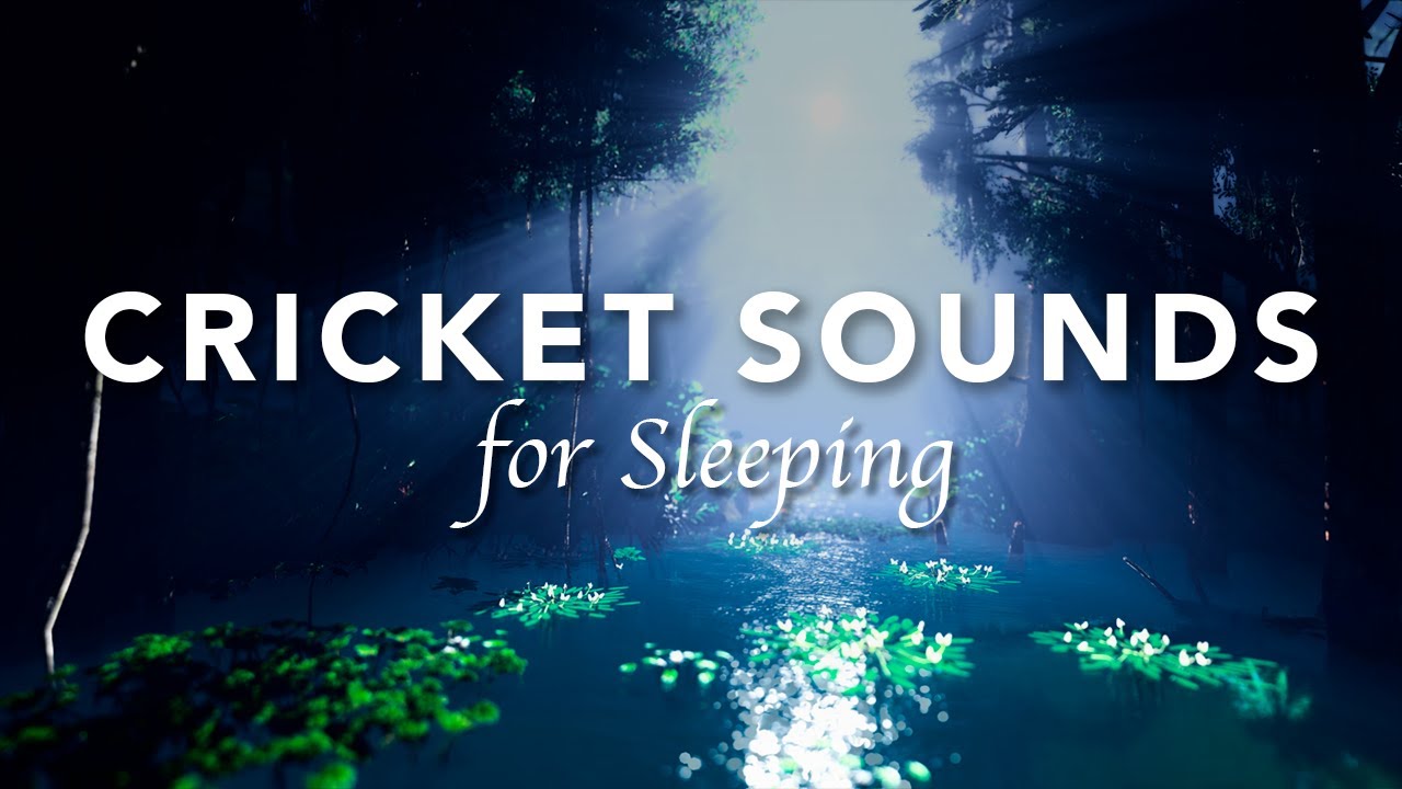 Cricket Sounds for Sleeping | Nature Sleep Sounds | 5 hours | Ambient ...