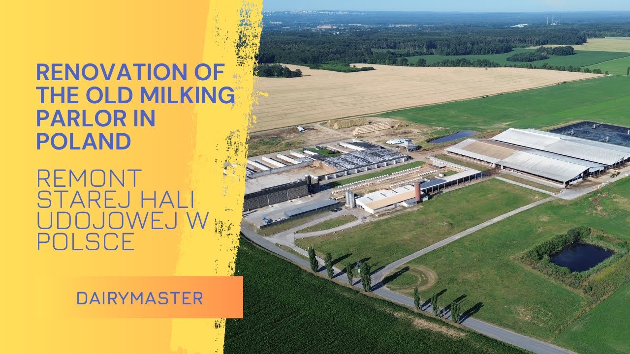 🐄🥛 DAIRYMASTER | RENOVATION OF THE OLD MILKING PARLOR IN POLAND ...