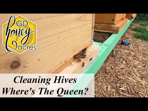 How to Clean Beehives - YouTube