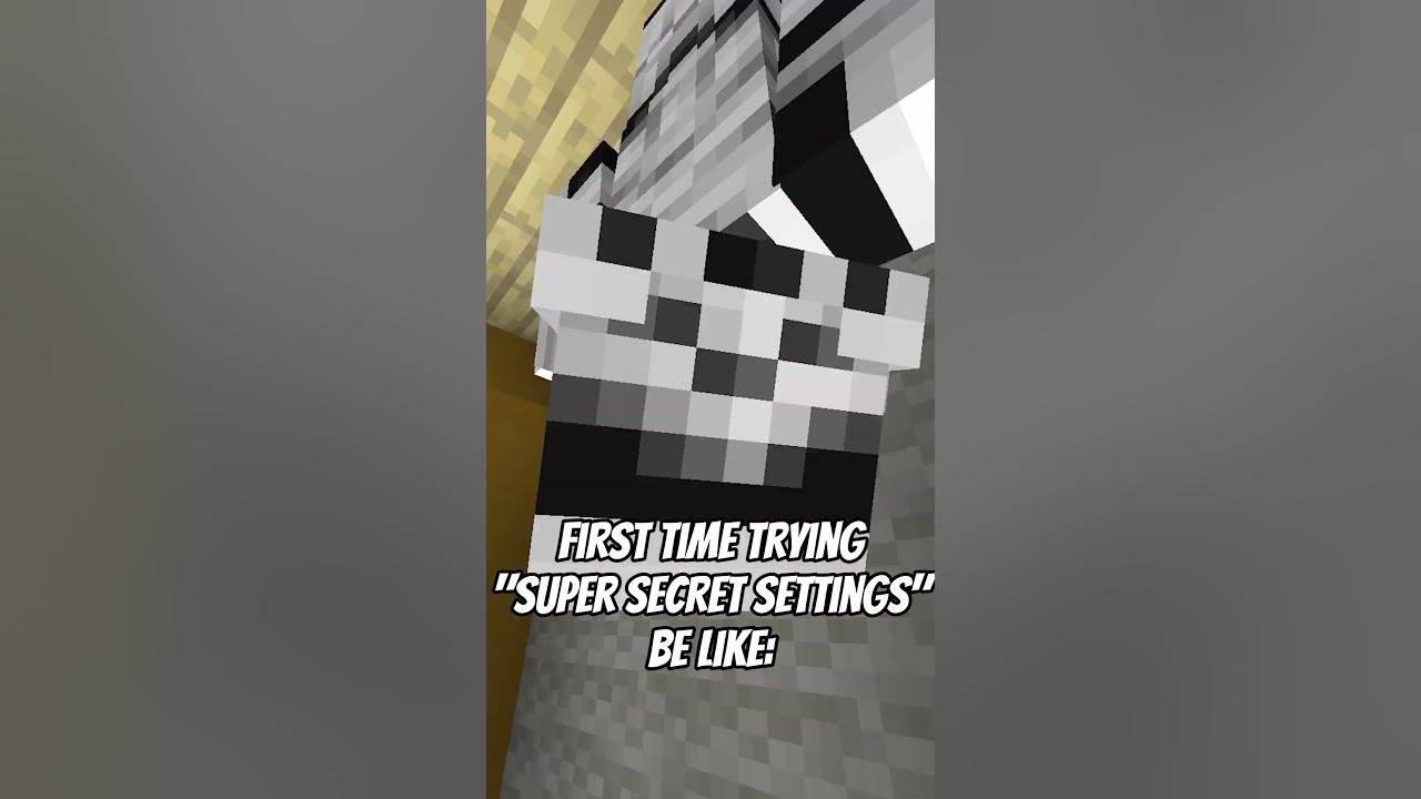 SUPER SECRET SETTINGS IN MINECRAFT YouTube super-secret-settings-in-minecraft-youtube
