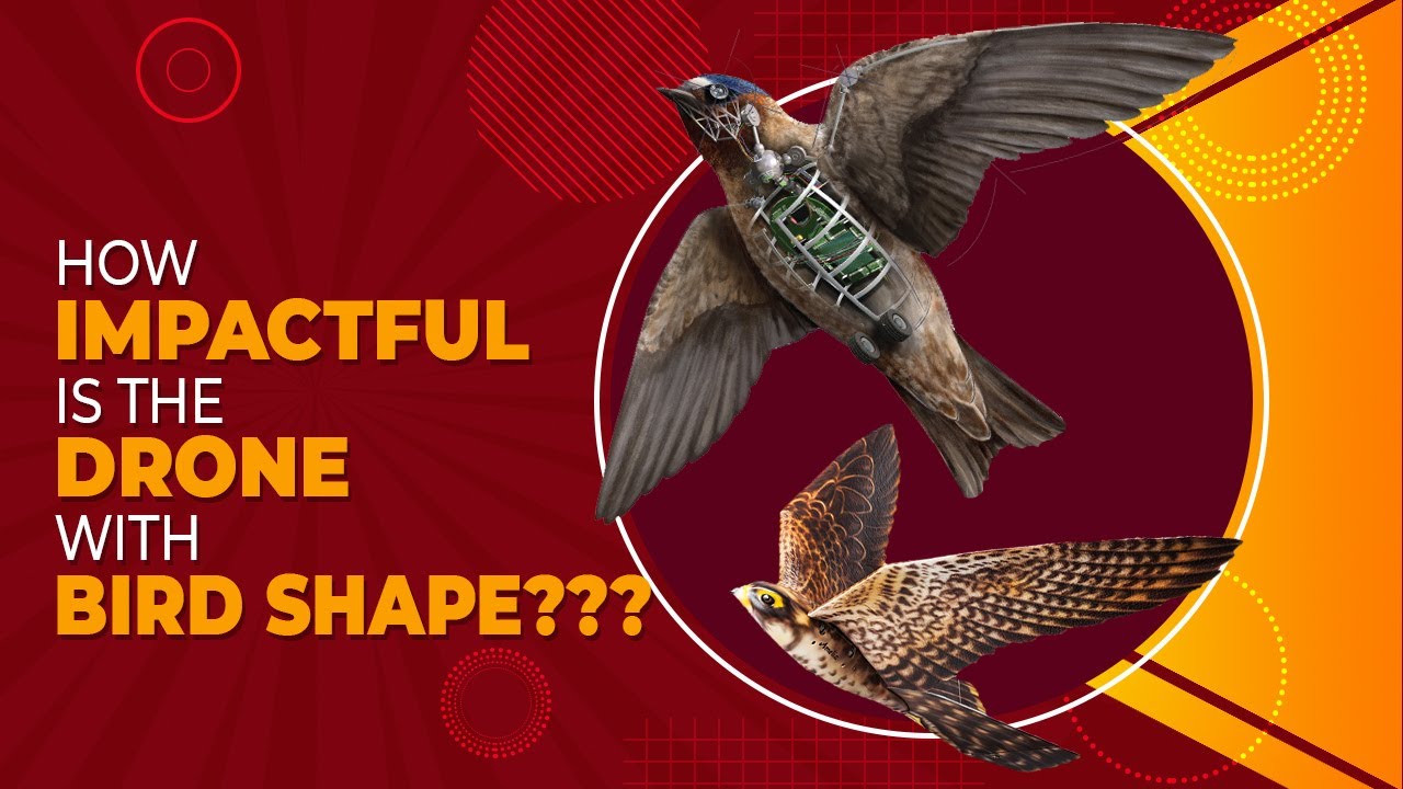 How Impactful is the Bird-Shaped Drone? Unveiling Game-Changing ...