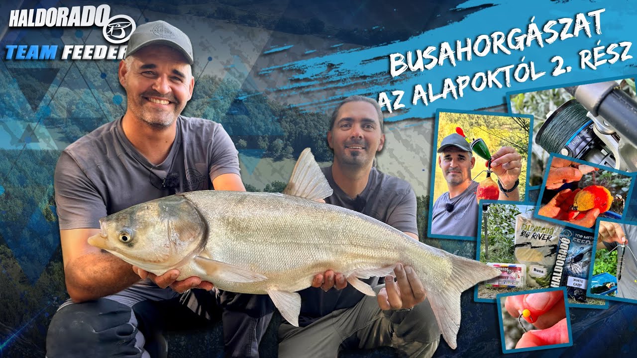 Sipos Gábor - Busahorgászat az alapoktól 2. rész – Úszós busahorgászat ...