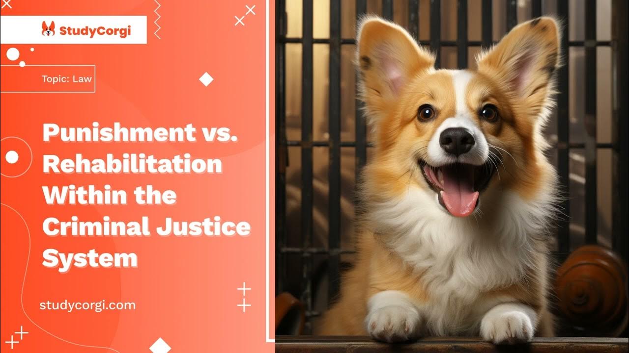 Punishment vs. Rehabilitation Within the Criminal Justice System ...