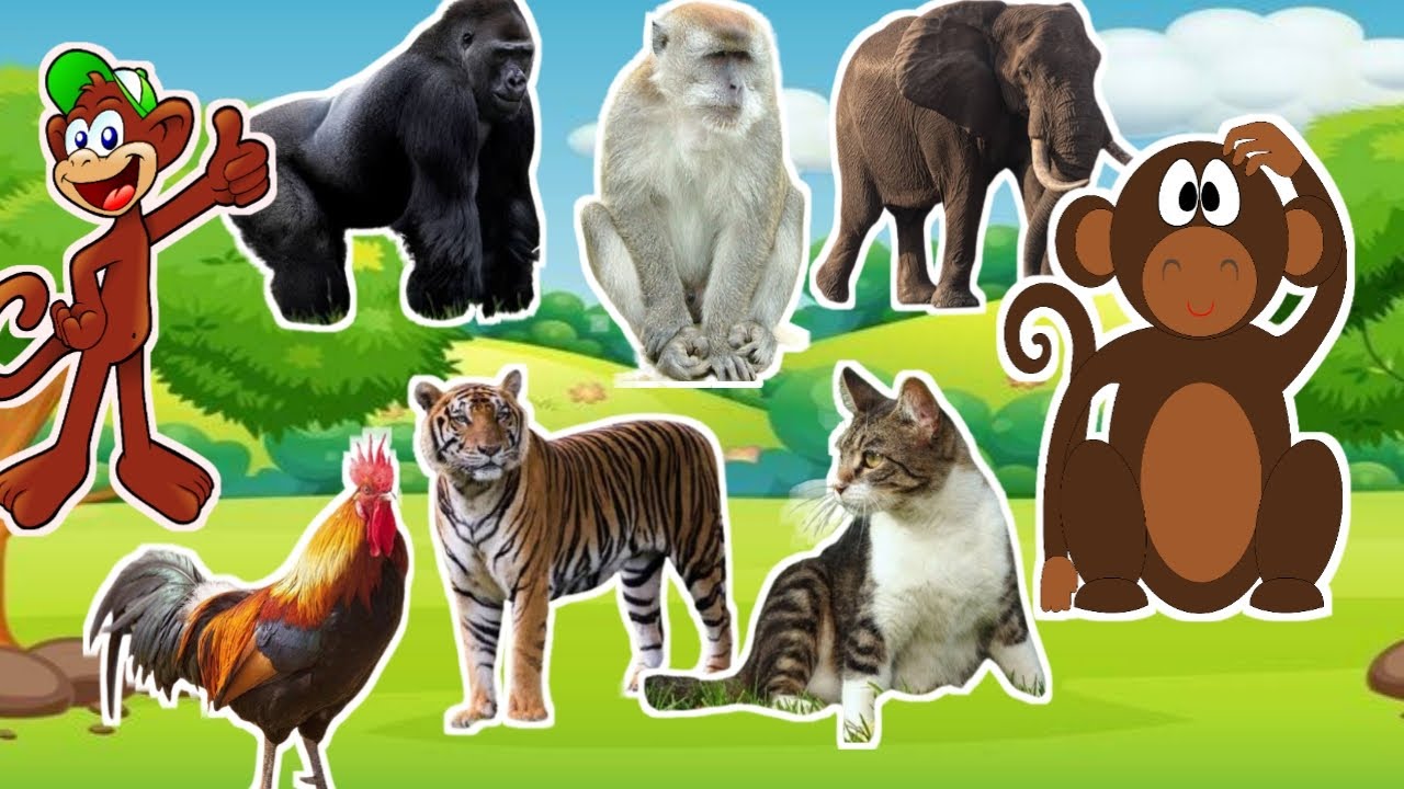 a collection of cows, cats, monkeys, goats, elephants, squirrels ...