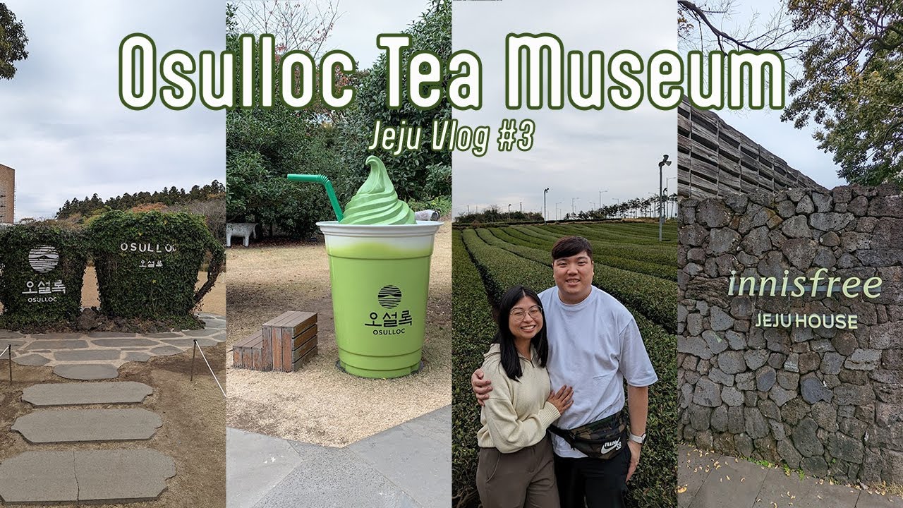 JEJU ISLAND VLOG (#3) Must Visit for Tea Lovers - Osulloc Tea Museum 🍵 | Innisfree Cafe - YouTube