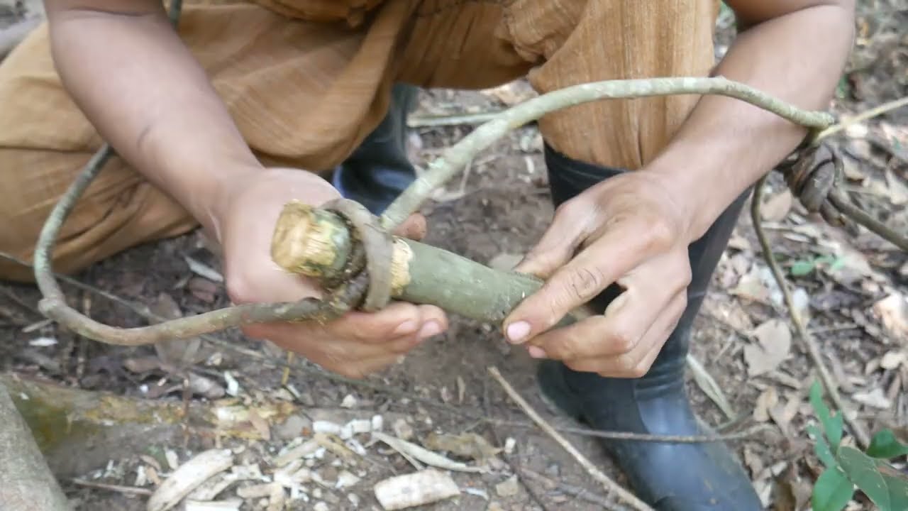 Wild Man: Create Amazing Primitive Vine Trap to Catch Deer in the Big ...