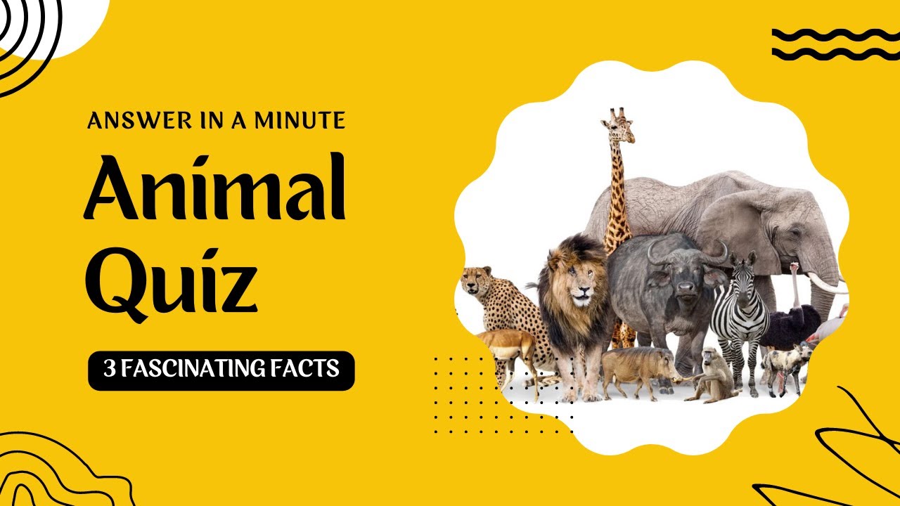 Animal Trivia Challenge: Test Your Knowledge with These 3 Fascinating ...