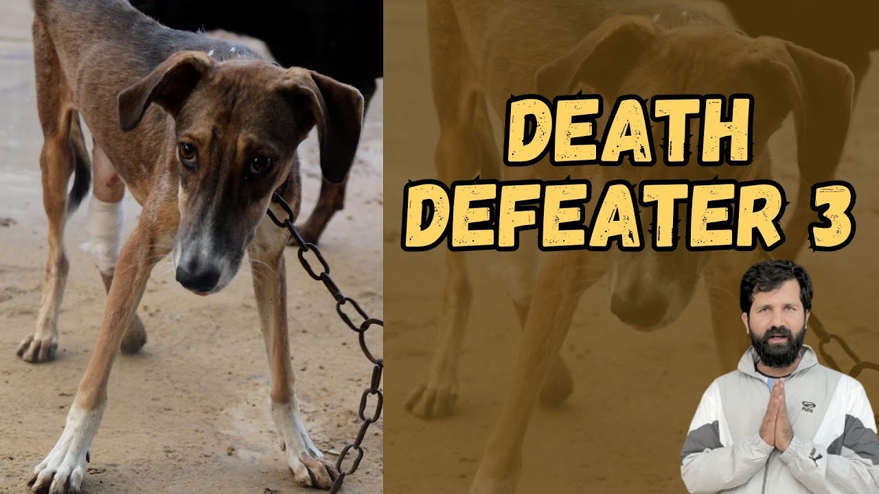 Death Defeater 3 - YouTube