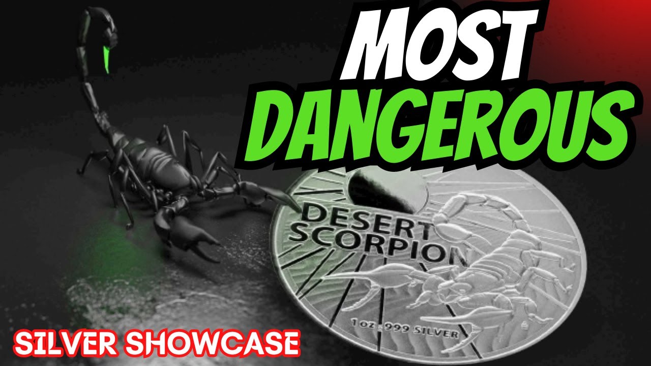 This Silver Stings - 1 oz #silverstacking #scorpion - YouTube