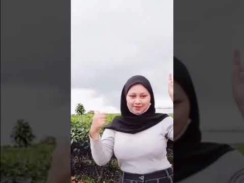 JILBOB TOKET GEDE JAGO GOYANG