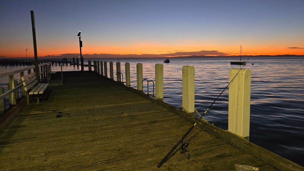 Biggest Whiting I've Ever Caught + First Ever Gummy Shark + 3 Fish On 1 ...