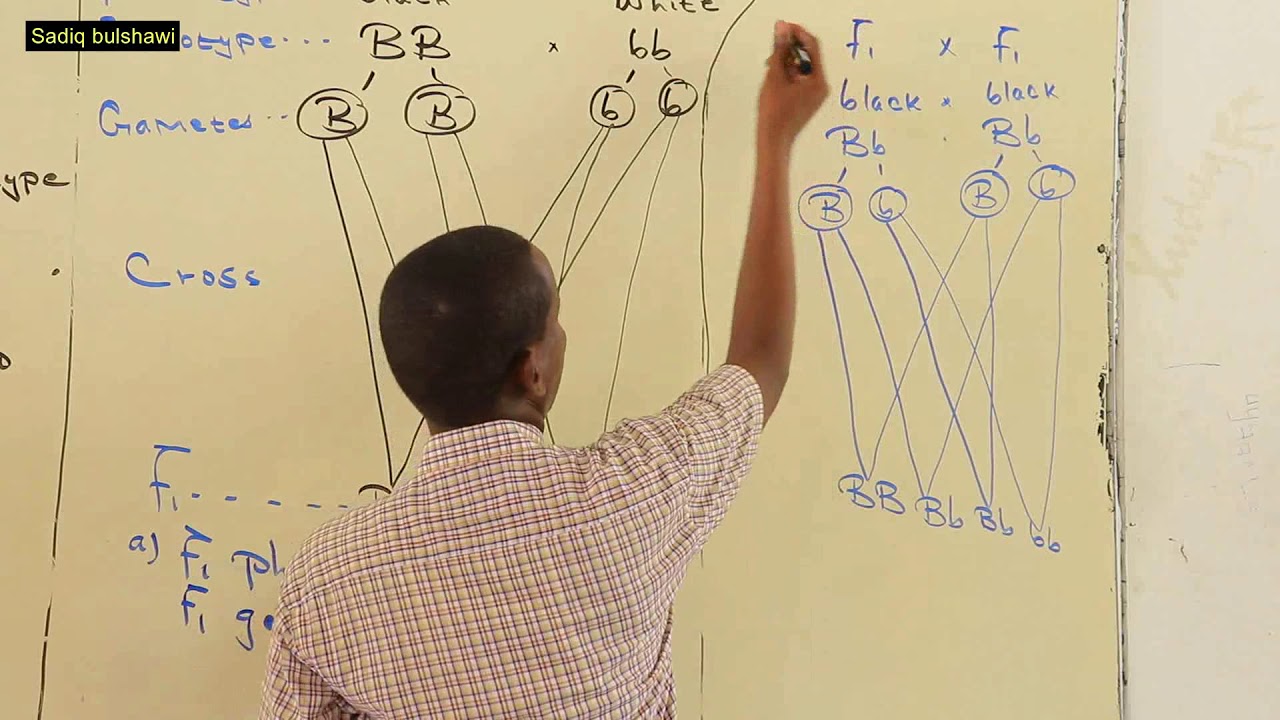 Biology Form 4: Genetics-Part One-Section-two - YouTube