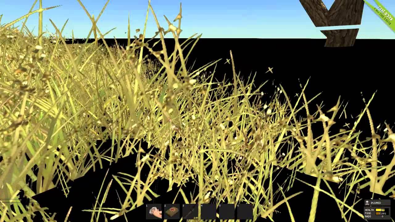 Rust Weird Graphics Bug - YouTube